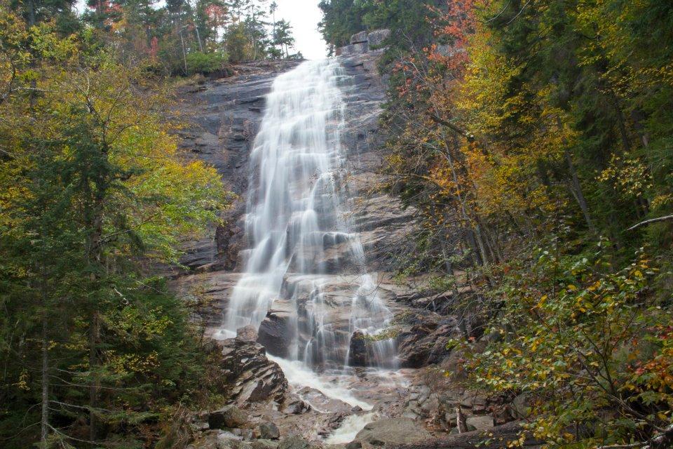 arethusa spring hill