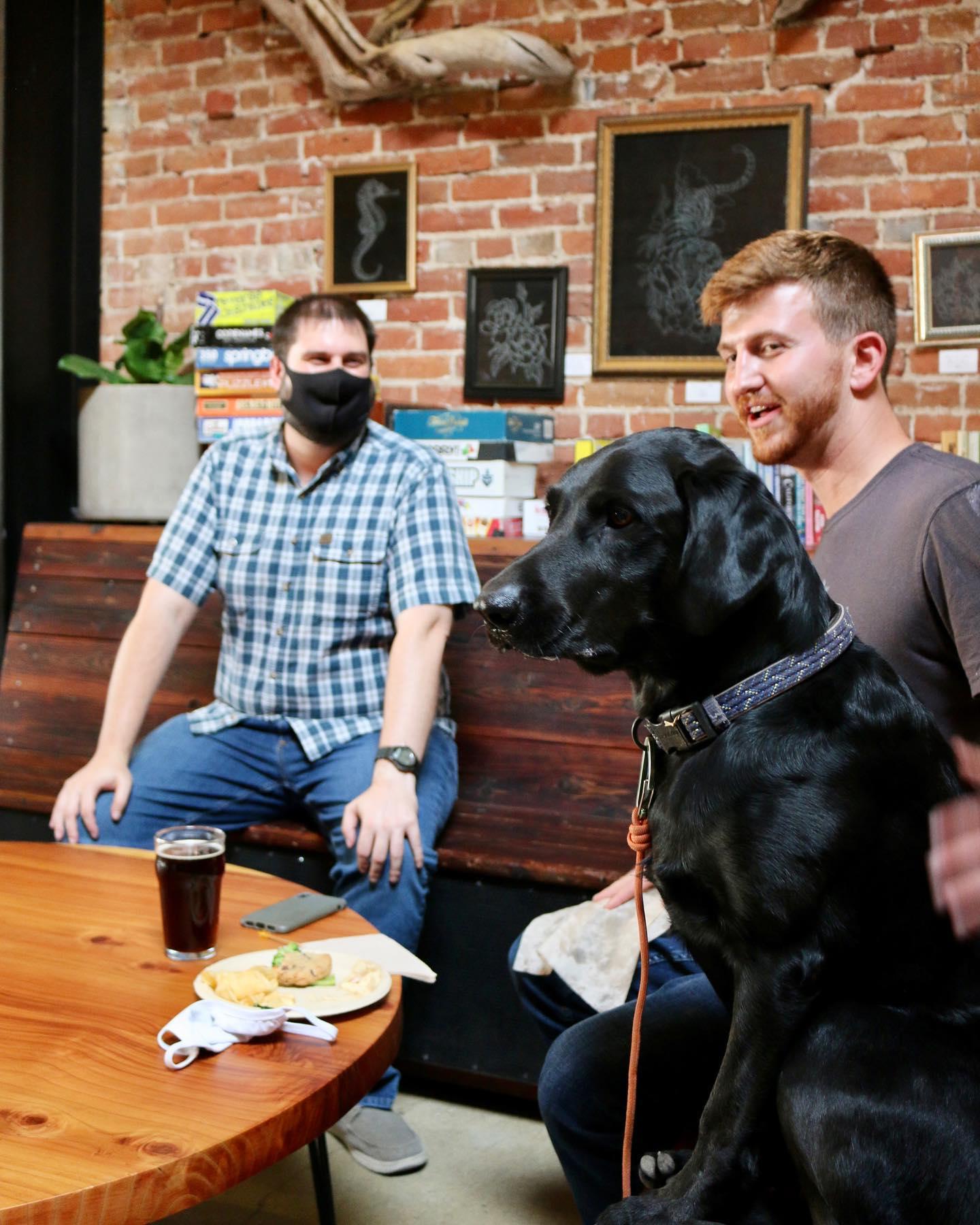 Night Lizard Brewing Company