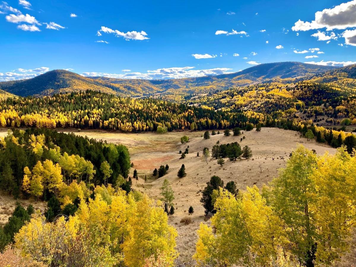 Pike-San Isabel National Forests & Cimarron and Comanche National ...