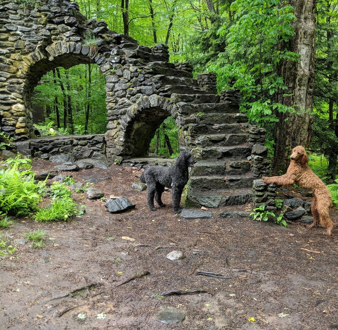 Madame Sherri Forest