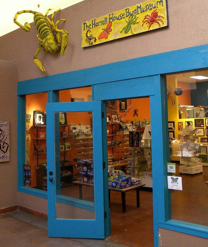 The Santa Fe Reptile and Bug Museum