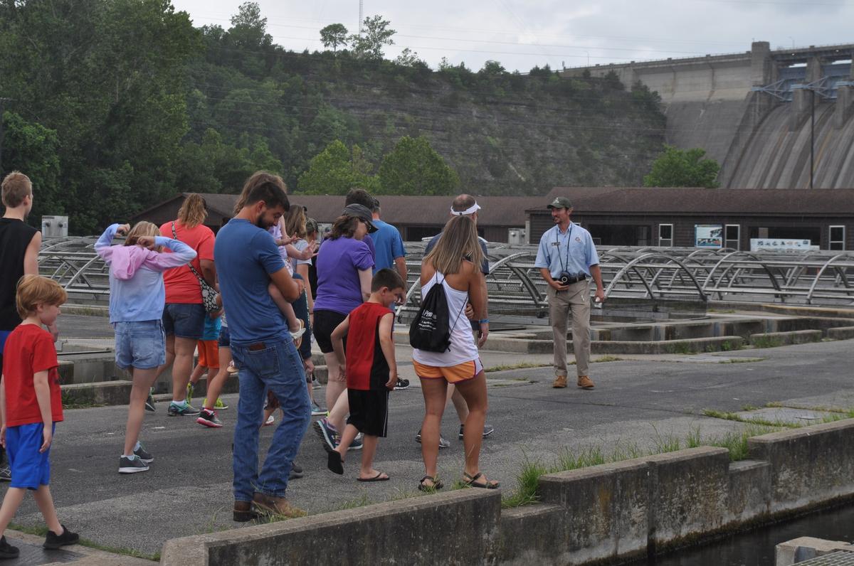 fish hatchery branson mo