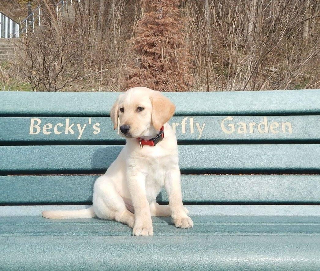 Cardiff Hill Overlook Park