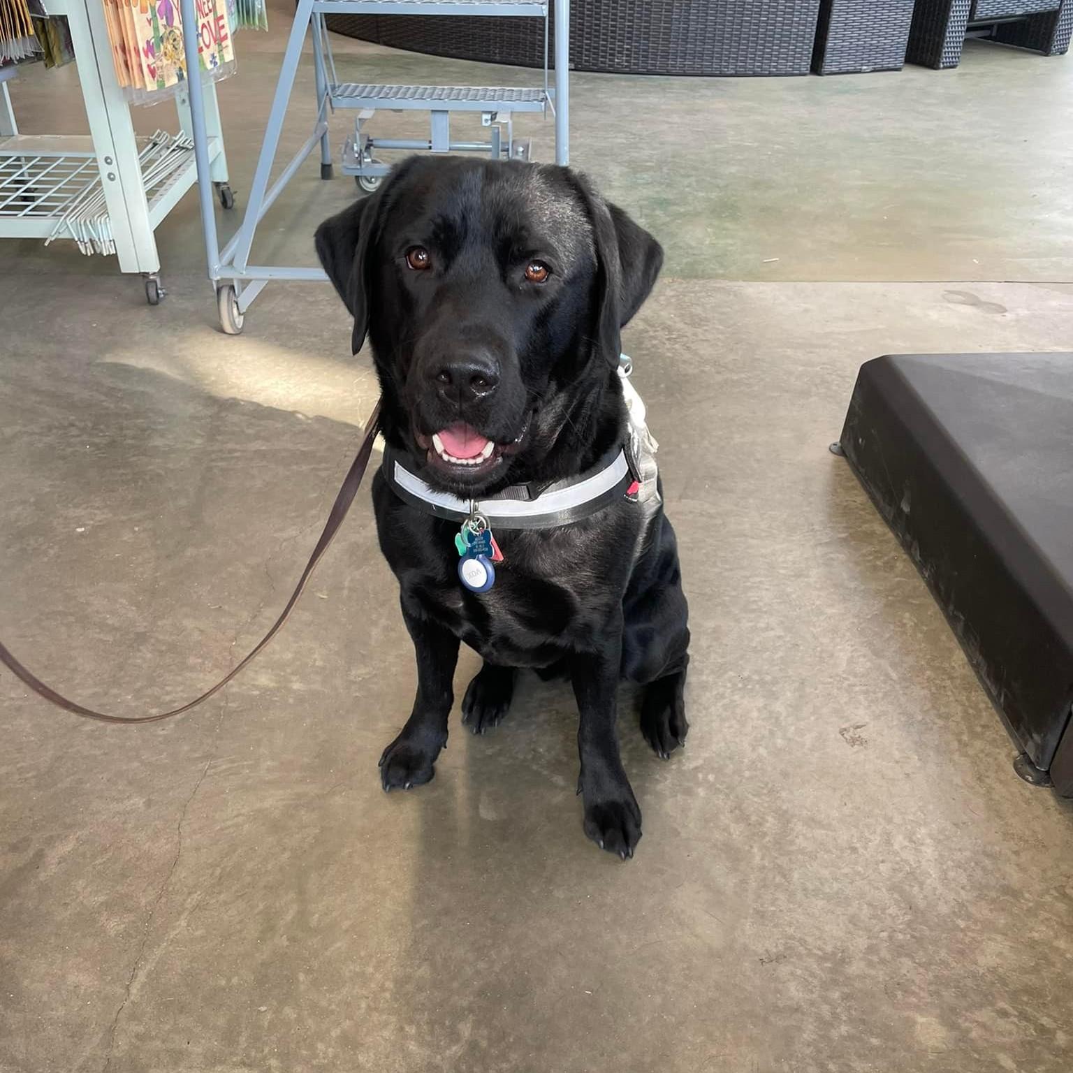 English Gardens Dearborn Heights