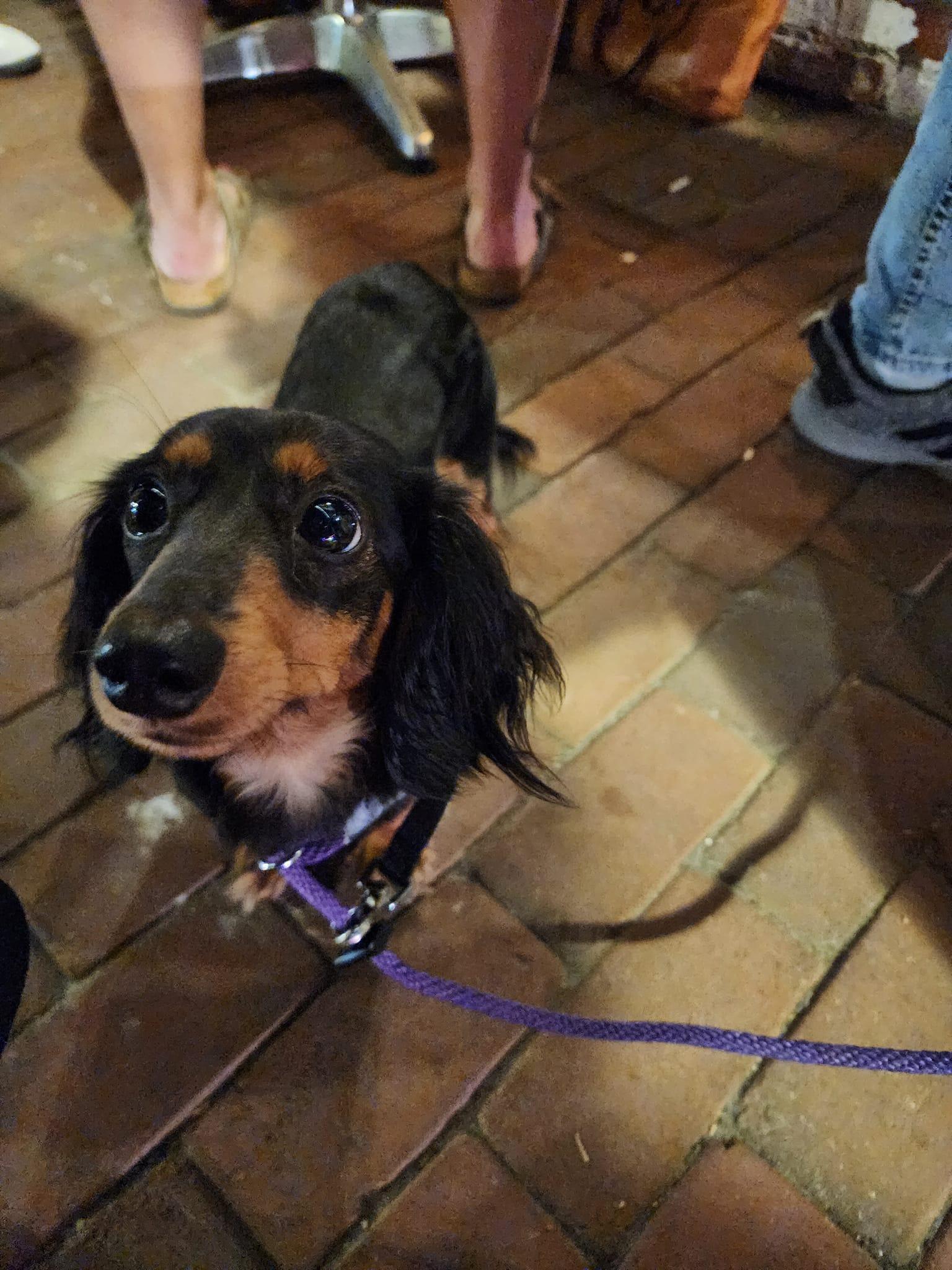 Black Hoof Brewing Company