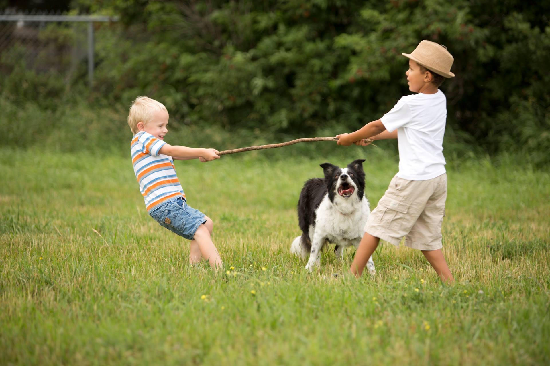 Pierre Radisson Dog Park