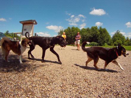 Fish Lake Regional Park Dog Park