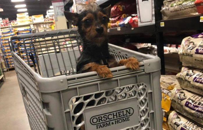 Orscheln Farm & Home