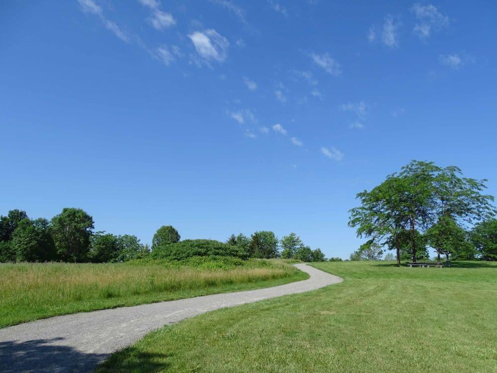 Dog Friendly Hiking Trails in Ontario - BringFido