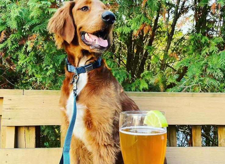 Retriever Brewing Compound