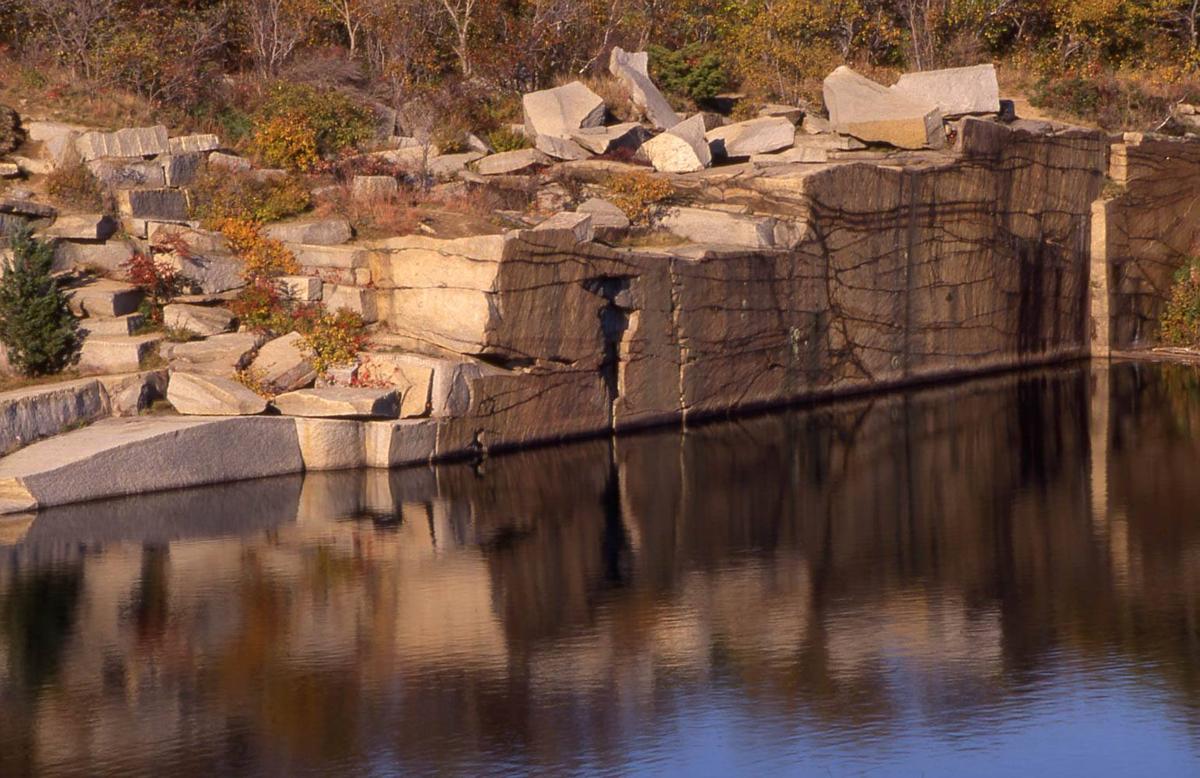 Are Dogs Allowed At Halibut Point State Park