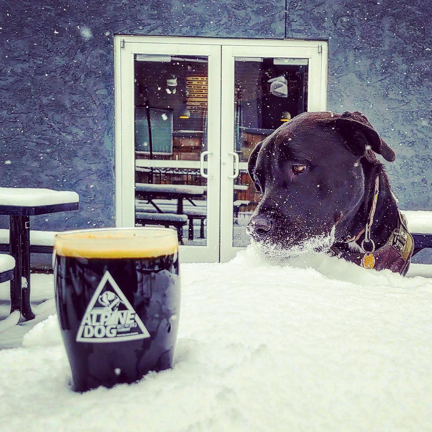 Alpine Dog Brewing Company