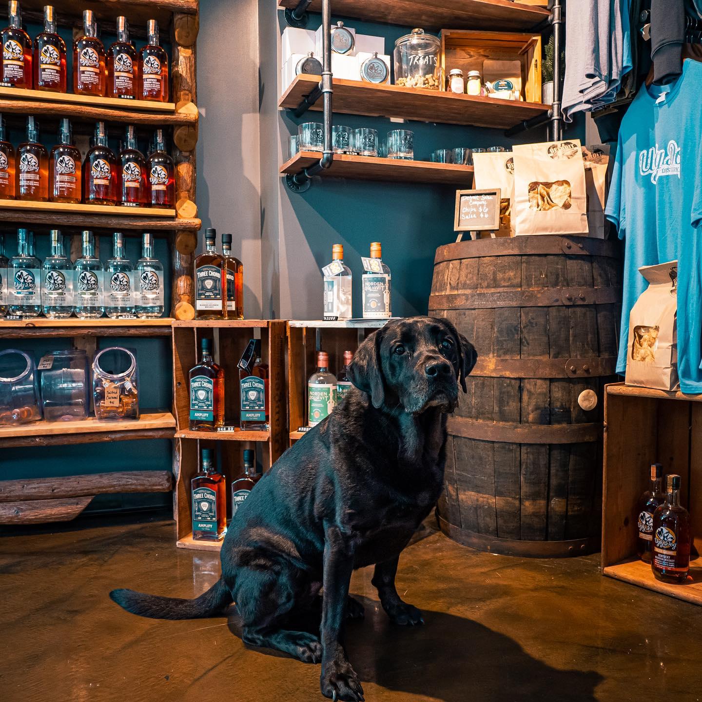Ugly Dog Distillery