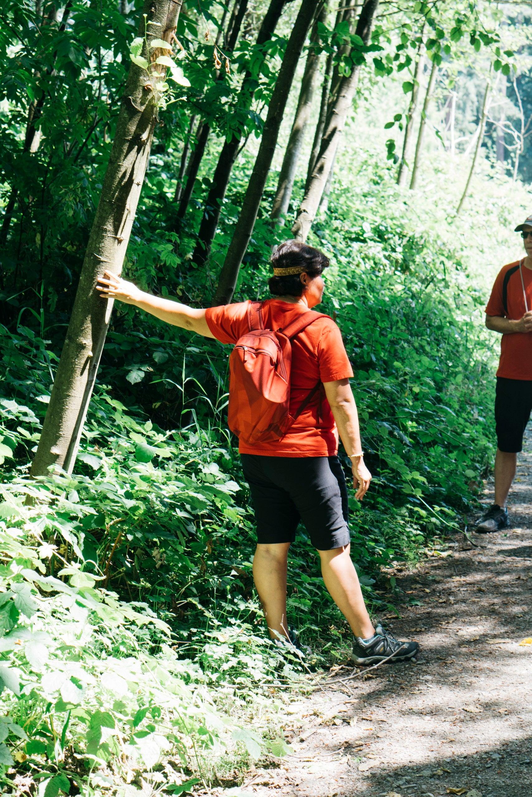 Talking Trees Indigenous Walking Tour