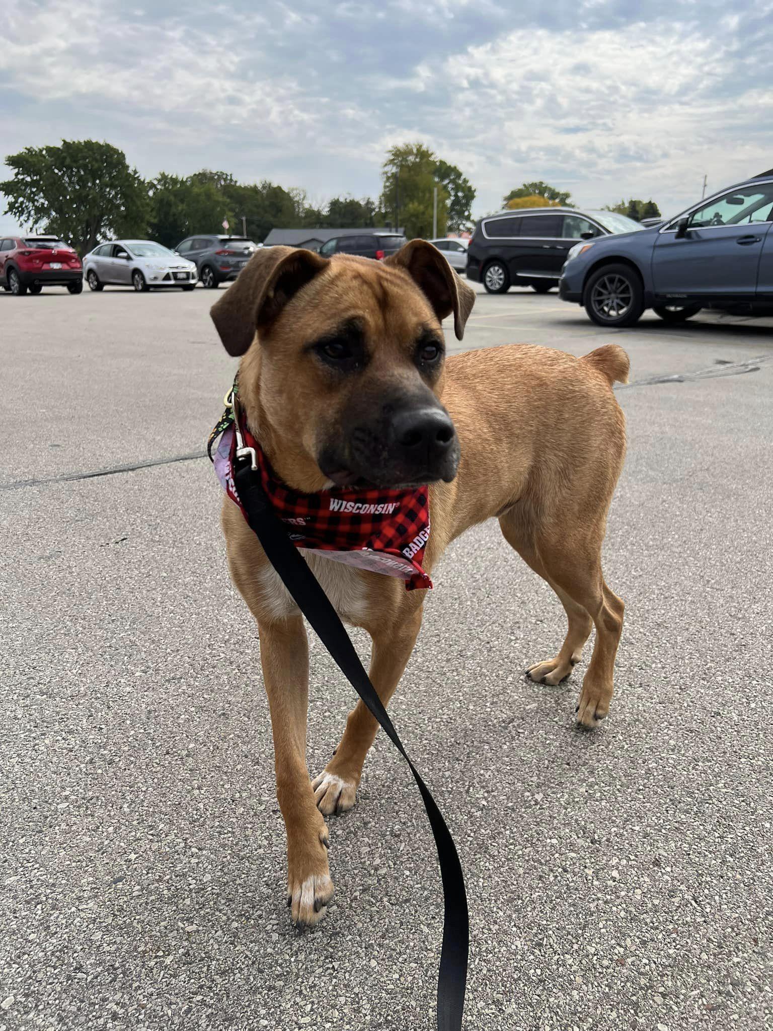 Fleet Farm Rochester