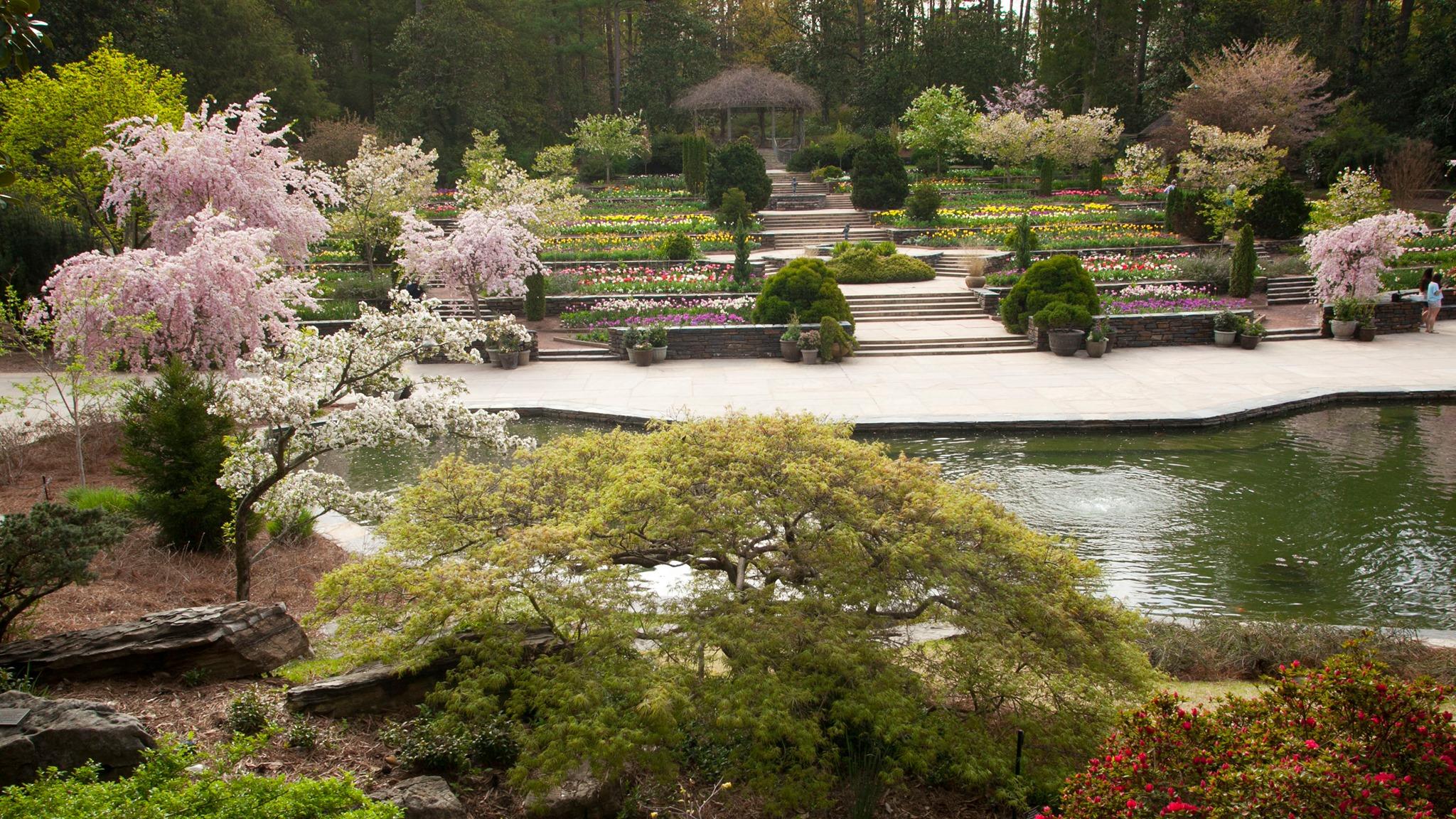 Sarah P. Duke Gardens