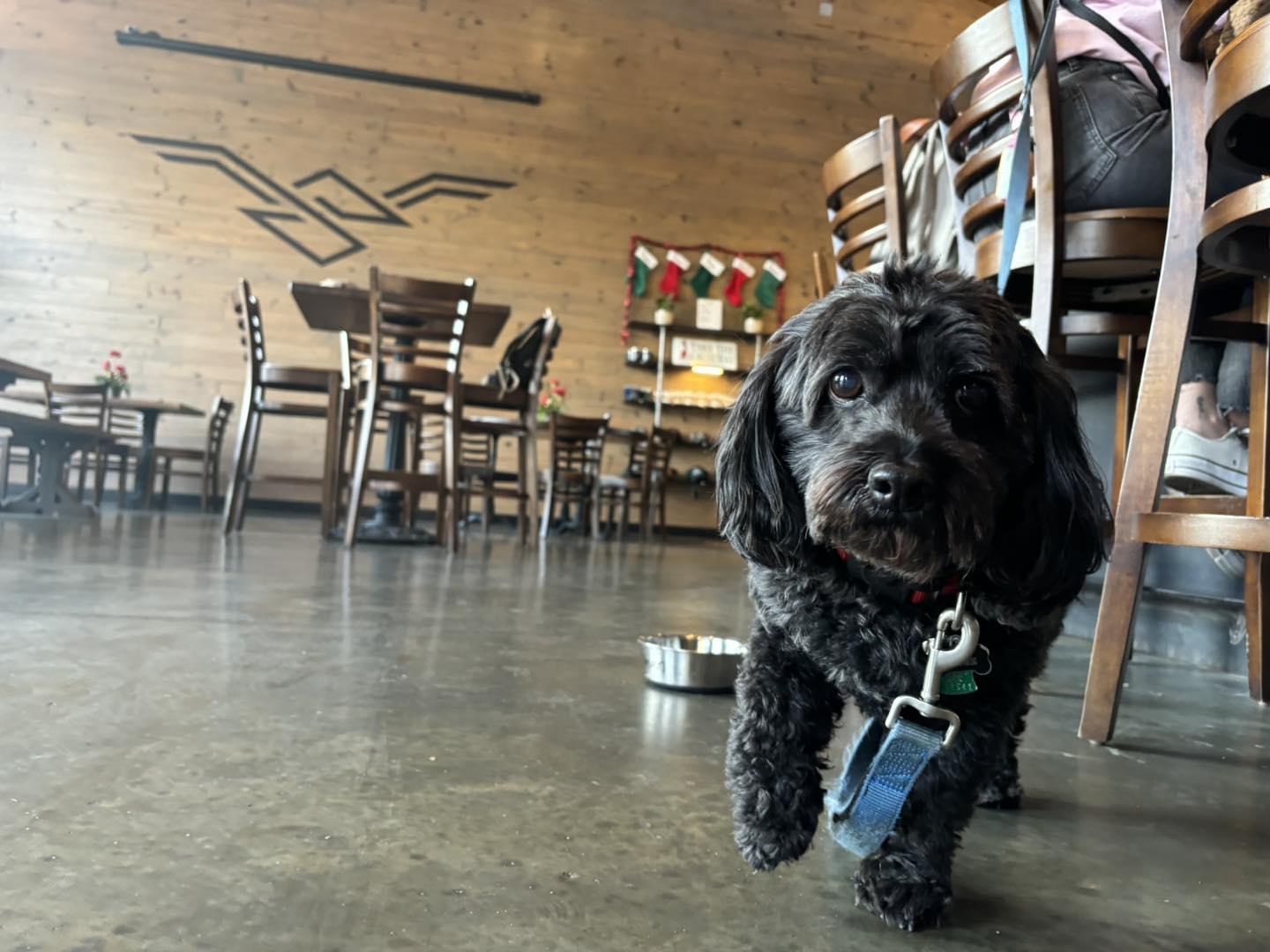 Wingman Brewing Company