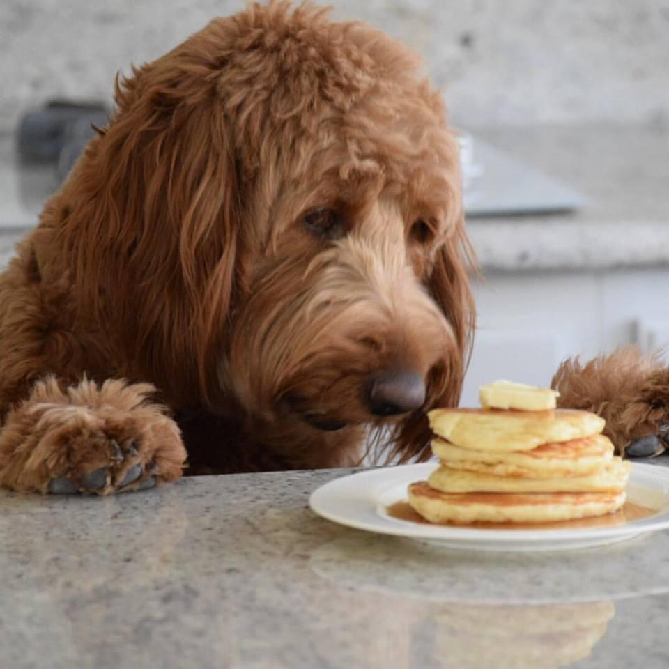 Pancakes in the Park