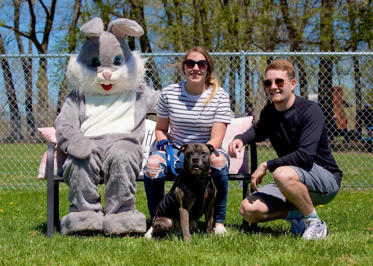 Bark Park Bunny Bash