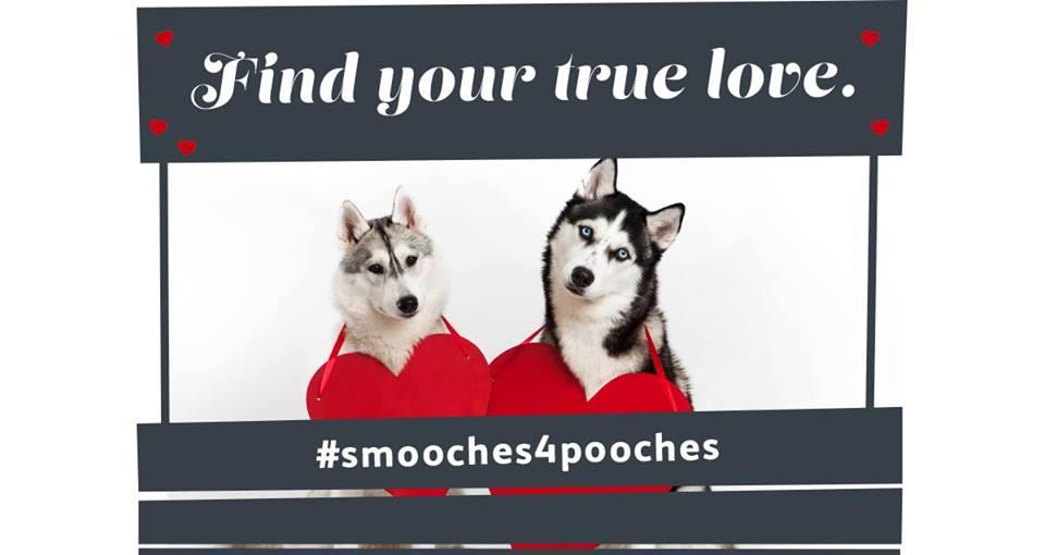 Smooches 4 Pooches