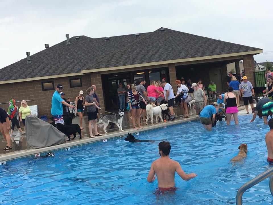 Hot Dawgs Pool Party