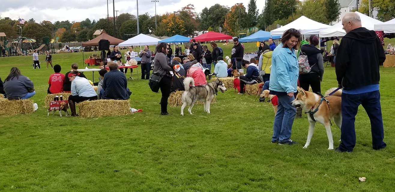 BringFido to BARKtoberfest Dog Festival