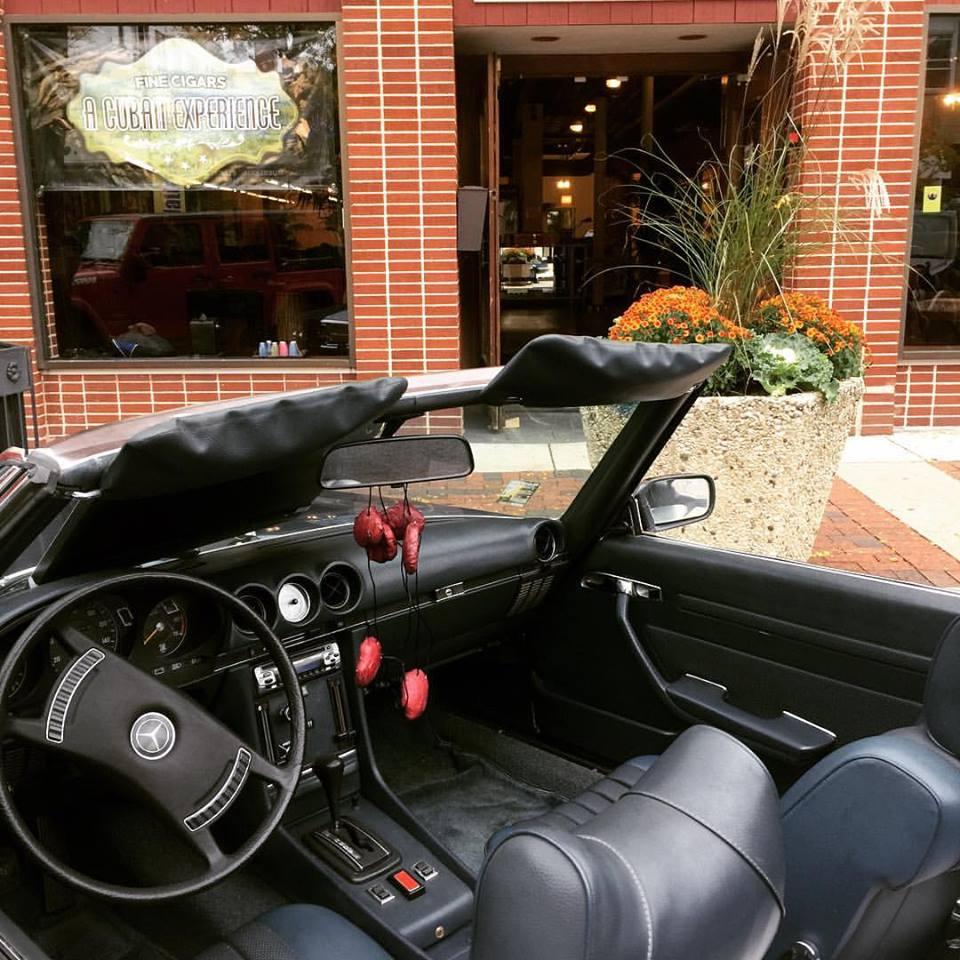 BringFido to 1972 Mercedes Roadster Raffle