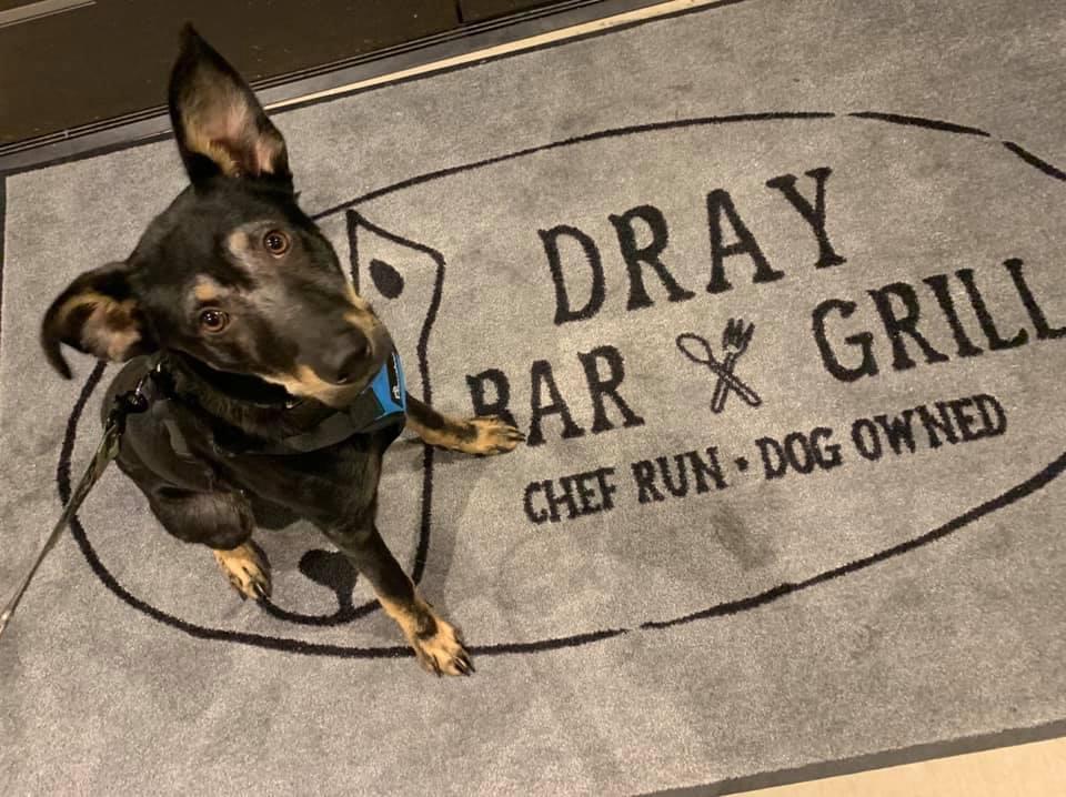 Beets by Dray: Dog Days of Summer