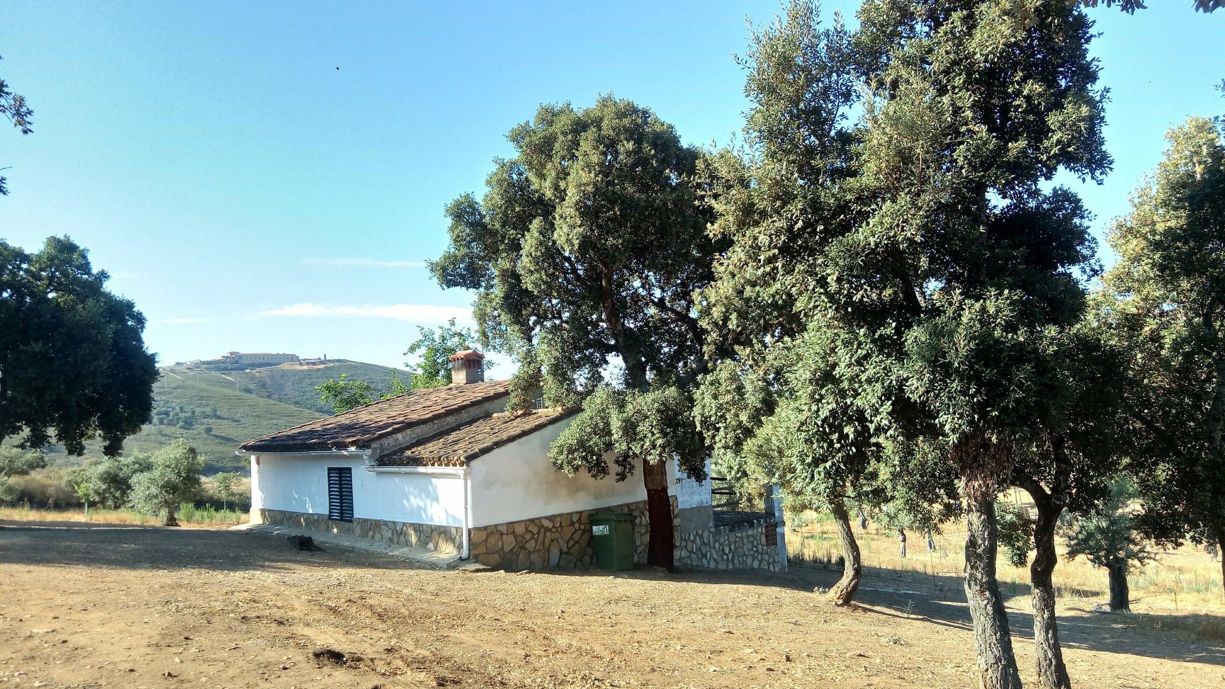 CR La Jara Pet Policy