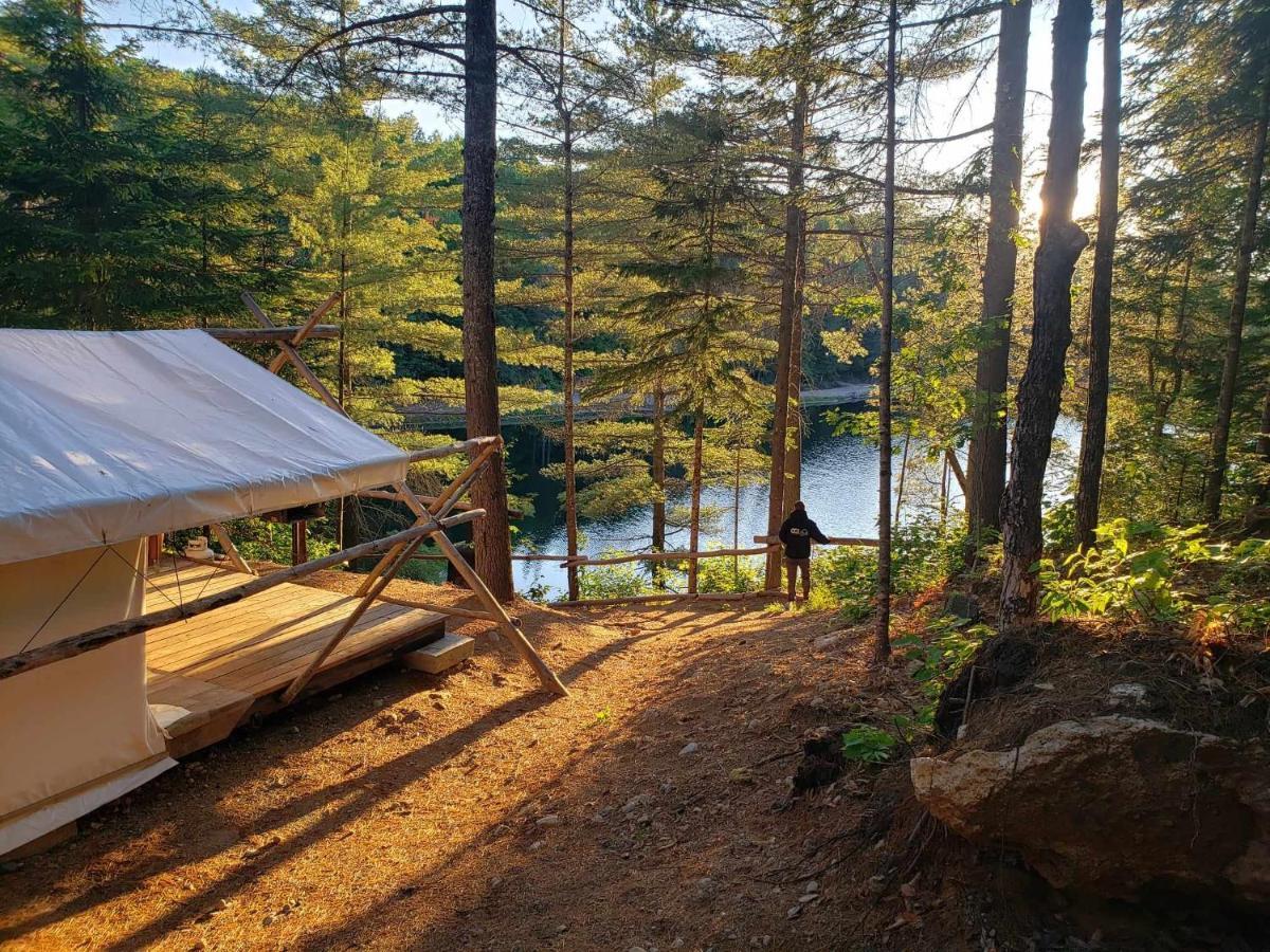 Pet Friendly Campgrounds in Quebec - BringFido