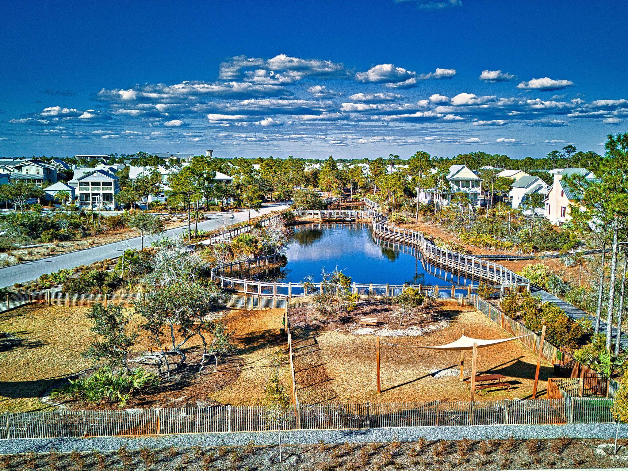 Sandy Toes Pet Policy