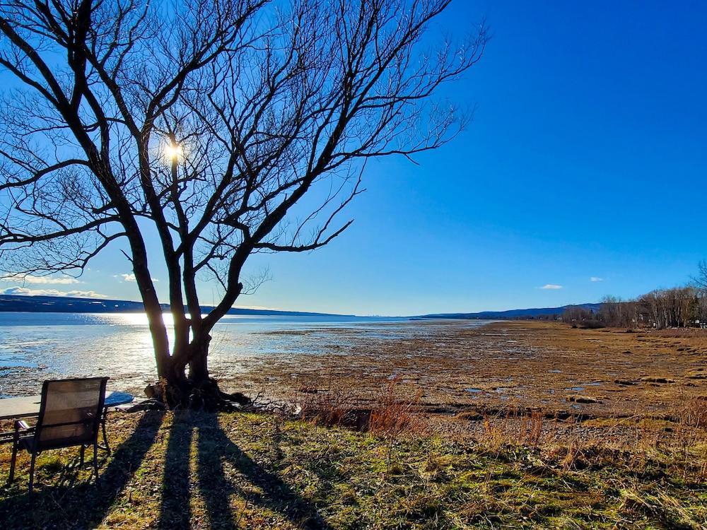 Condo & Motel Des Berges Pet Policy