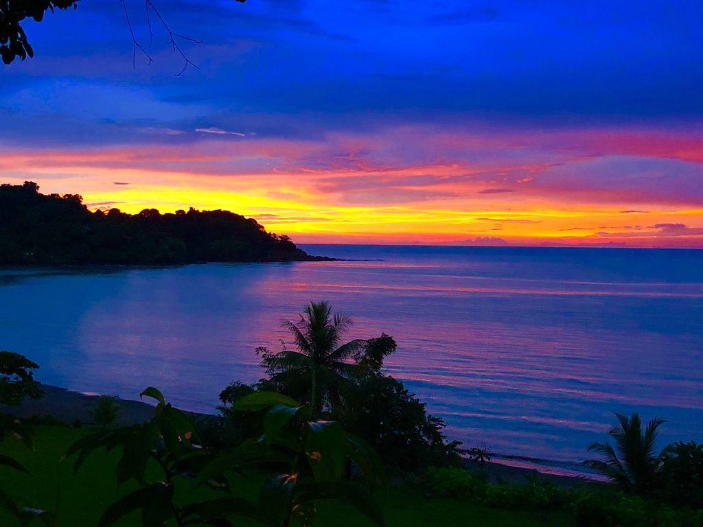 VRBO Drake Bay Pet Policy