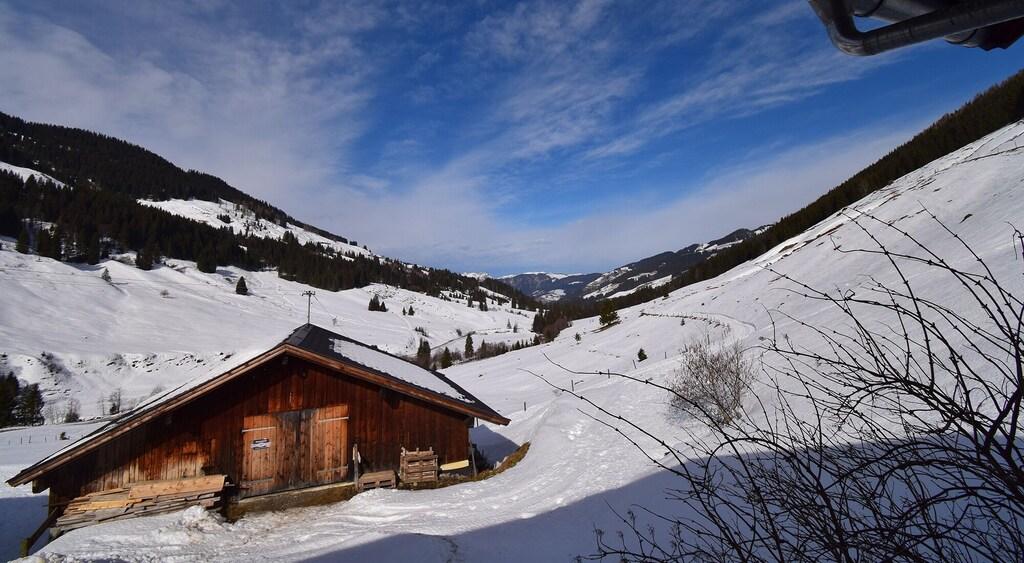 Schönanger Skihütte Wildschöna Pet Policy