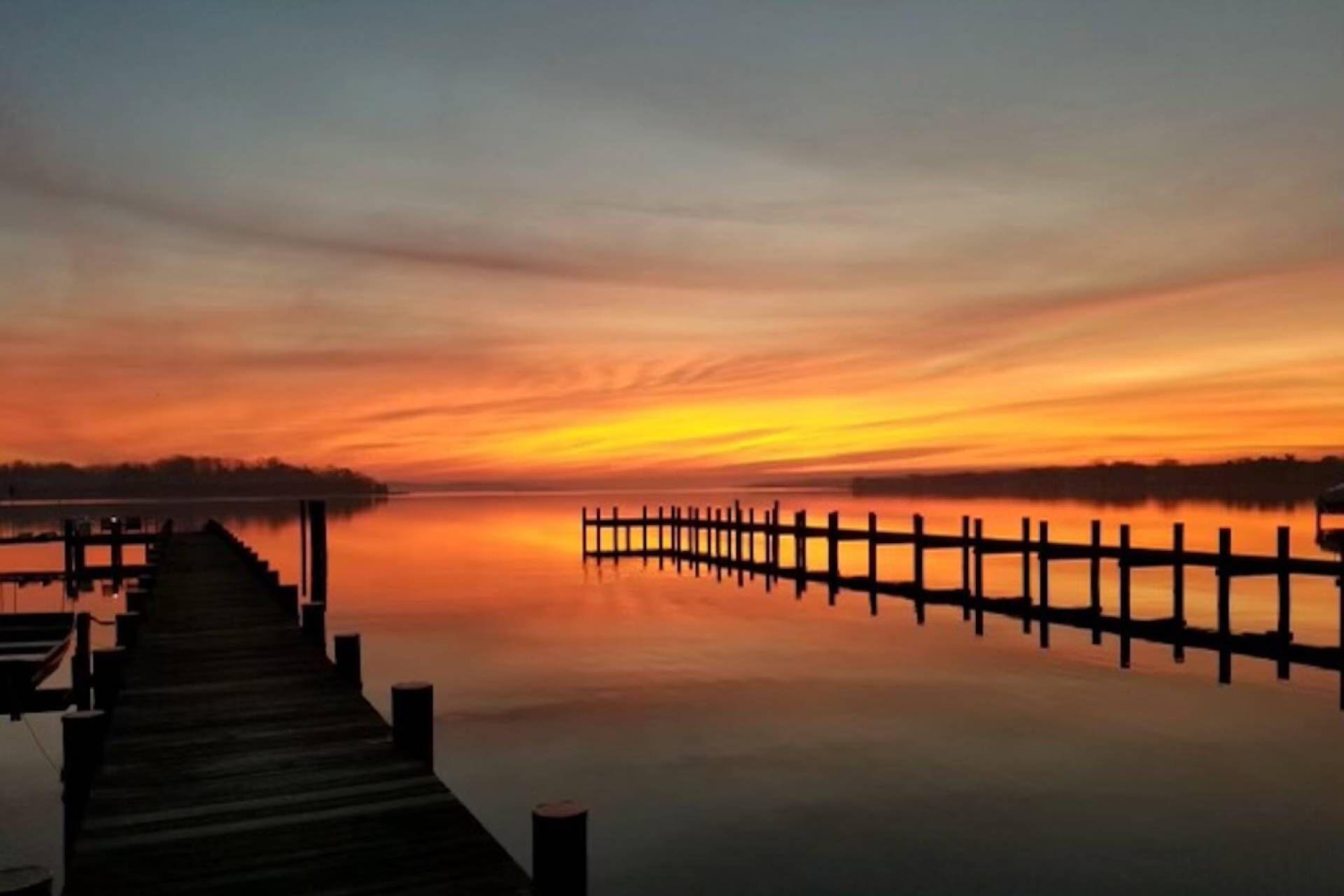 River Cottage Pet Policy