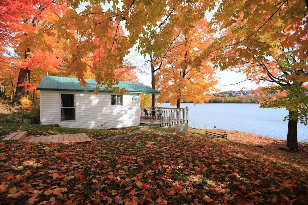 Pet Friendly Campgrounds in Quebec - BringFido