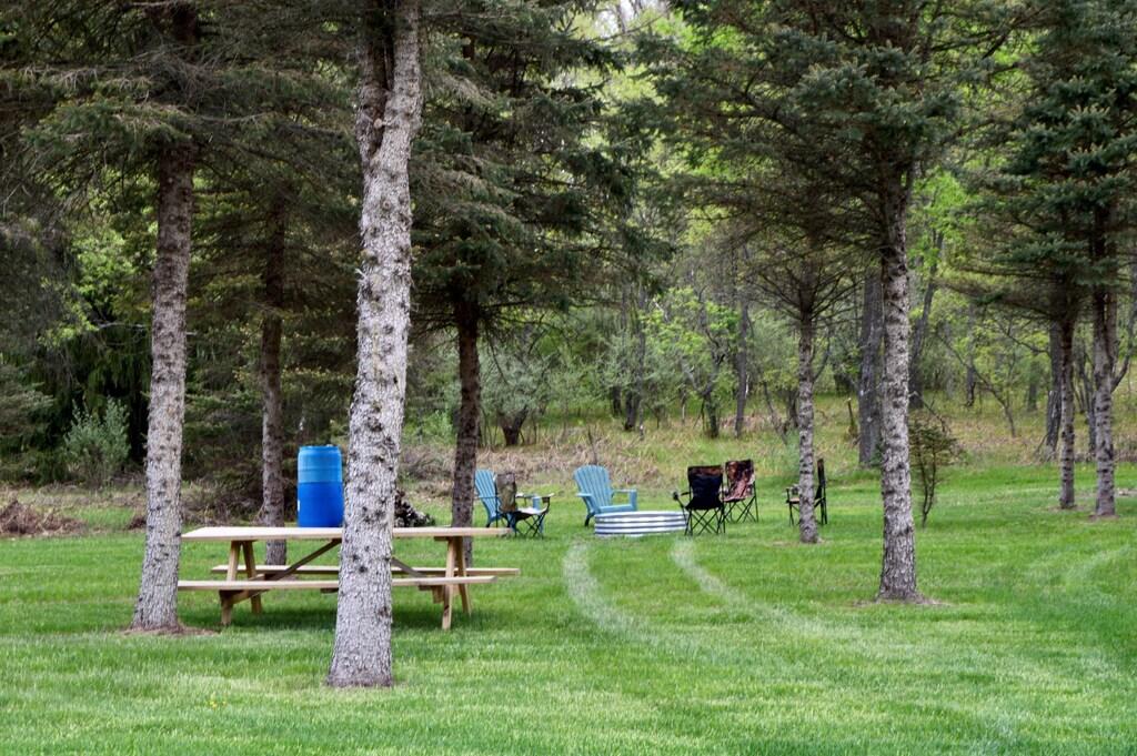 Knotty Pines Camp Pet Policy