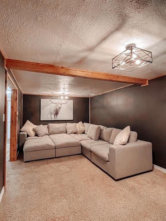 Our Little Haevyn Pet Policy