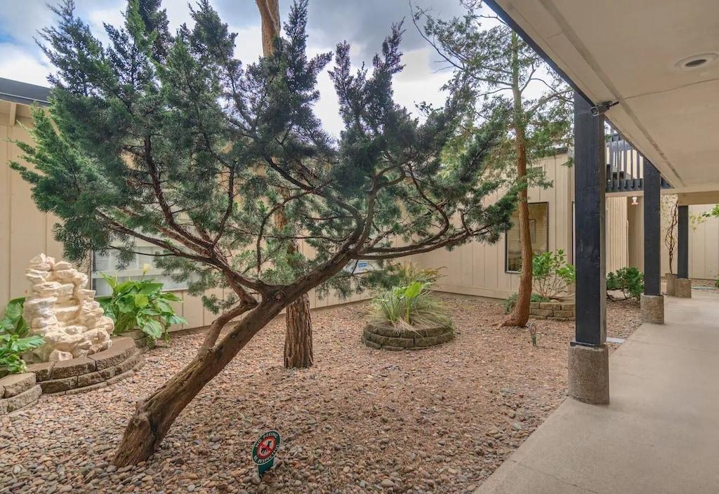 154 Return of the Jetty Pet Policy