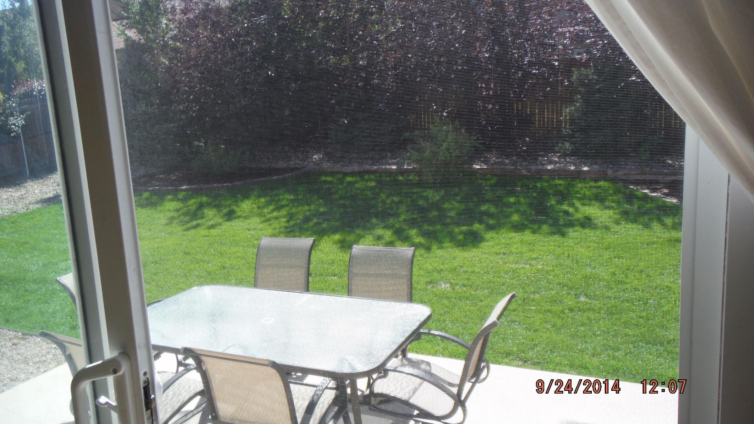 The Becca House Pet Policy