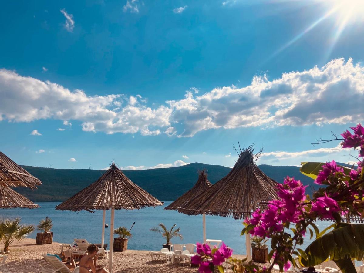 Feral Beach Pet Policy