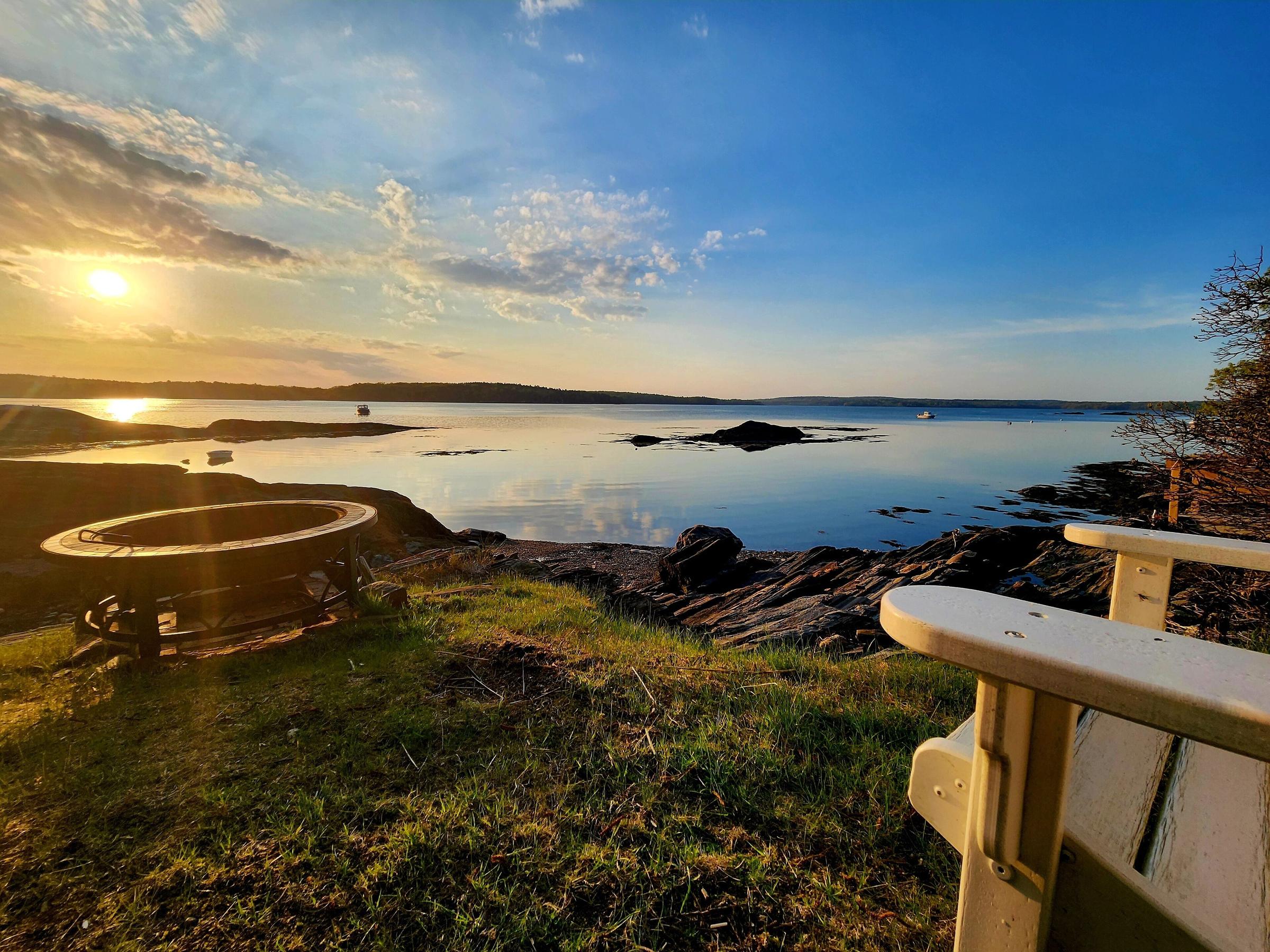 Yellow Dog Cottage Pet Policy