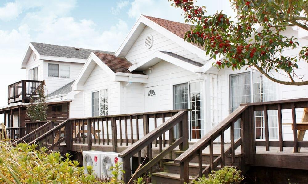 Sharon's House Pet Policy