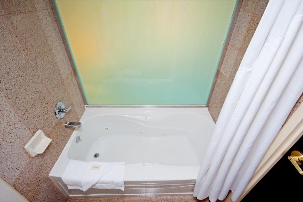 Holiday Inn Express Brooklyn an IHG Hotel Pet Policy