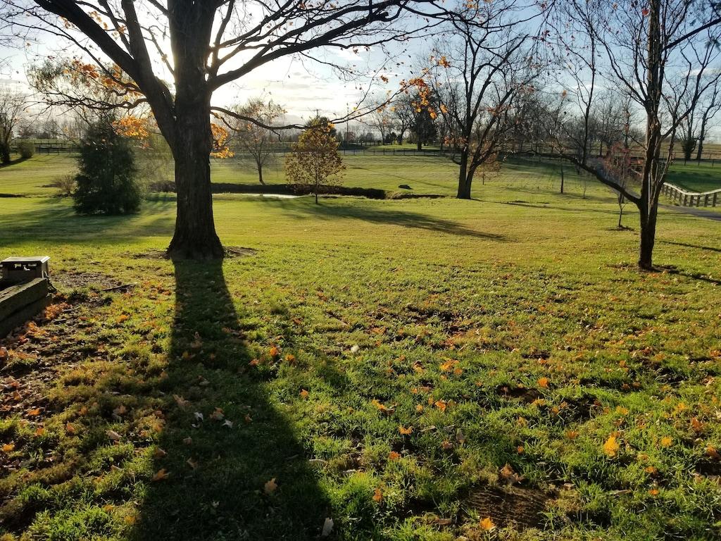 Pond Cottage Pet Policy