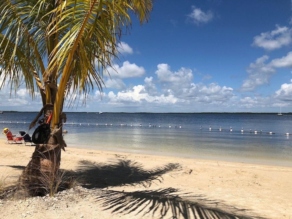 The Tranquil Tarpon Pet Policy