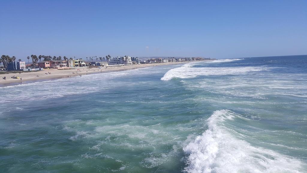 Sand & Sunset Condo Steps to the Beach Pet Policy
