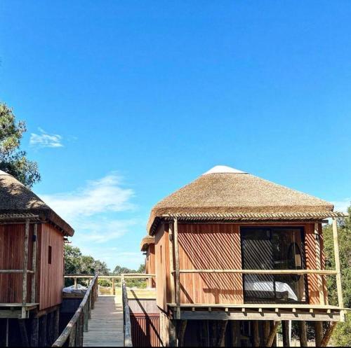 Aldea La Nacha Pet Policy