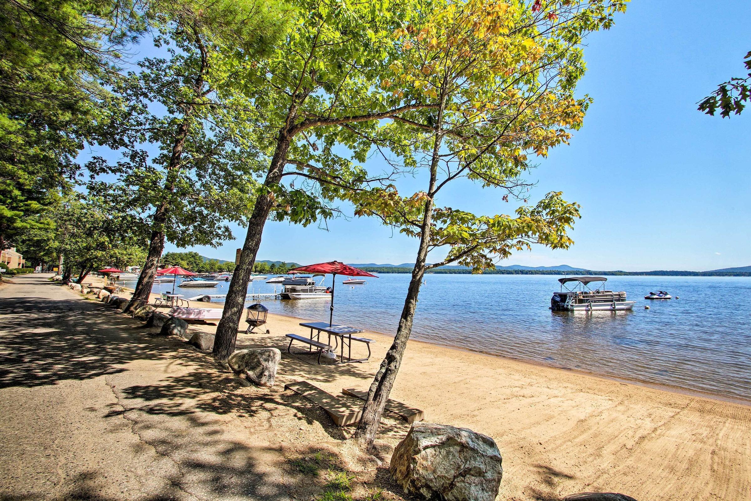 Center Ossipee Pet-Friendly Cottage With Dock Pet Policy