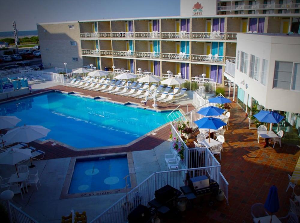 Jolly Roger Motel Pet Policy